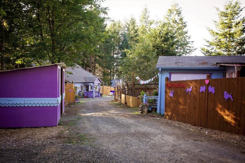 ASV izveidota suņu patversme - paradīze - nra.lv