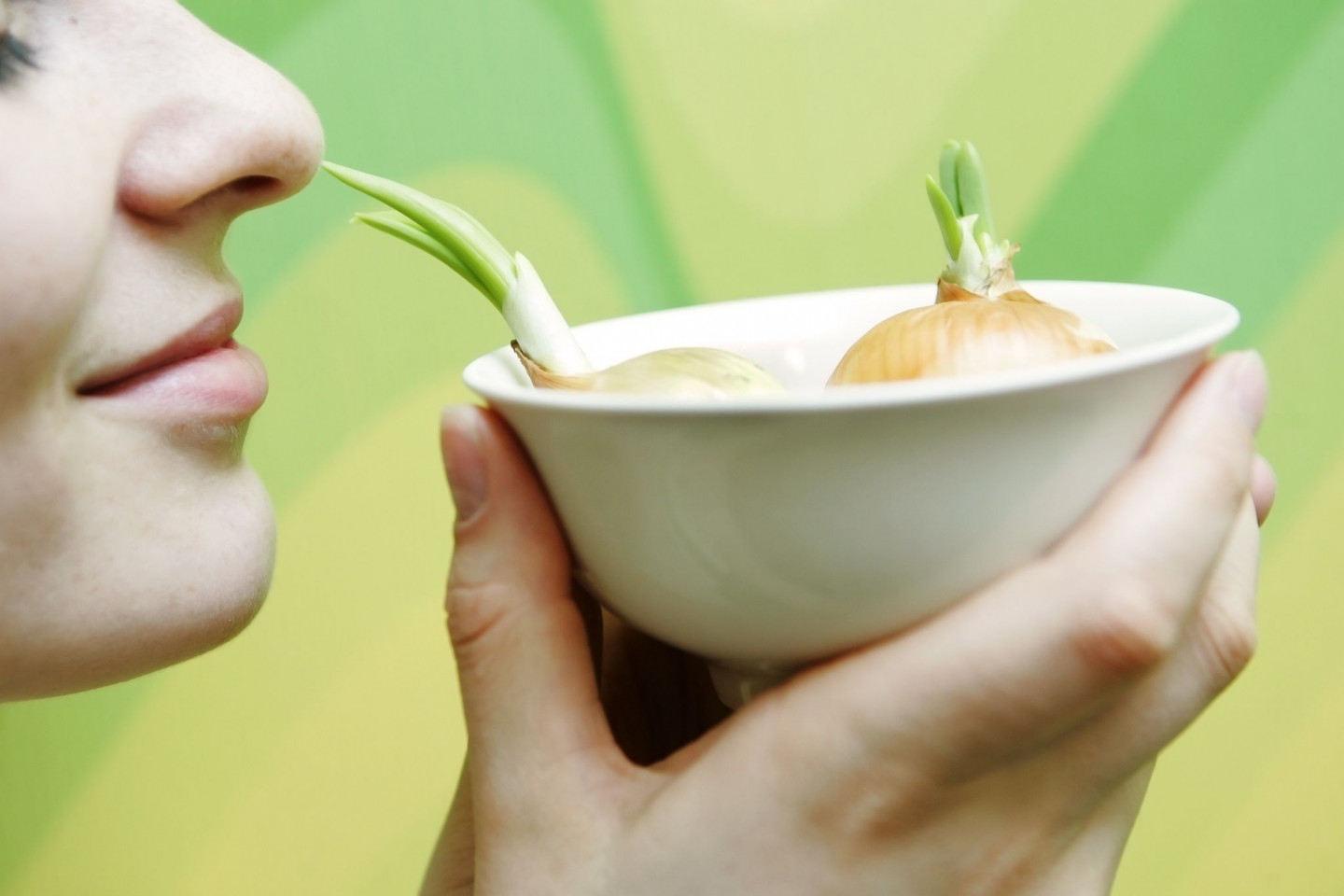 PADOMI, kā pareizi izaudzēt dažādus zaļumus uz palodzes - nra.lv