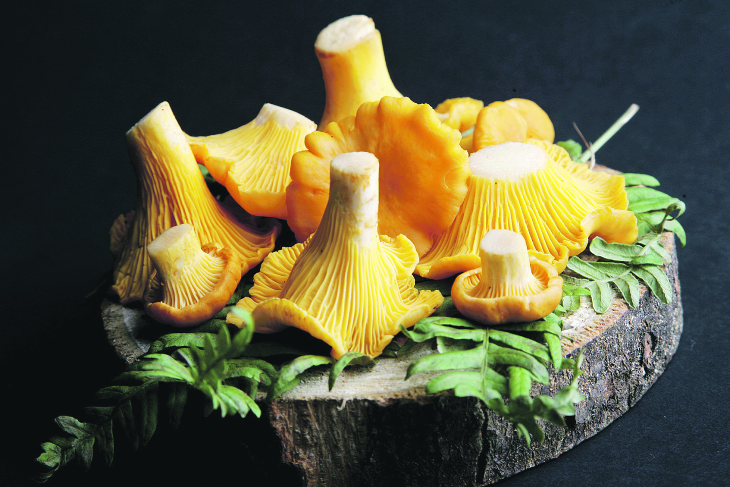 VIRTUVĒ: Kas gailenēs ir vērtīgs un kā tās gardi pagatavot - nra.lv