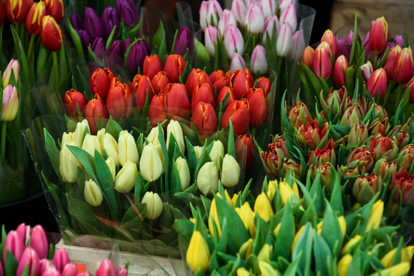 Krievijas tūristi arvien biežāk izvēlas Sieviešu dienu svinēt Rīgā - nra.lv