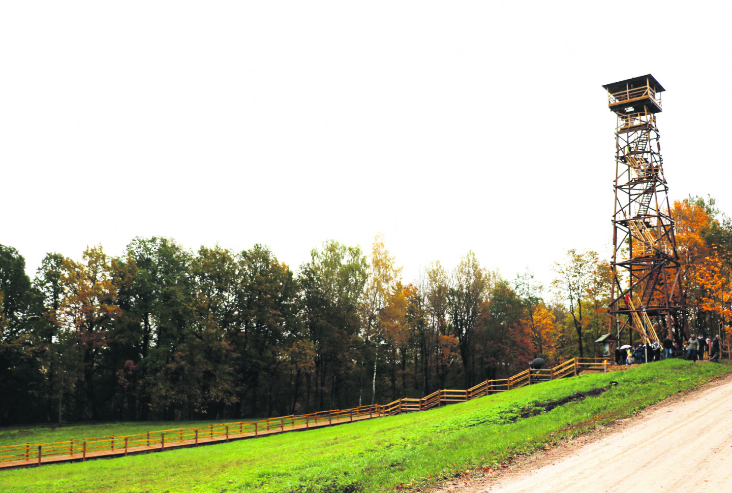 Ogres ielejas dabas parkā – Dullā Daukas taka un skatu tornis - nra.lv