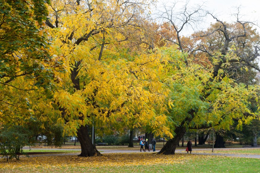 Pēc trim vasarīgām dienām nedēļas beigās kļūs vēss un sāksies ...