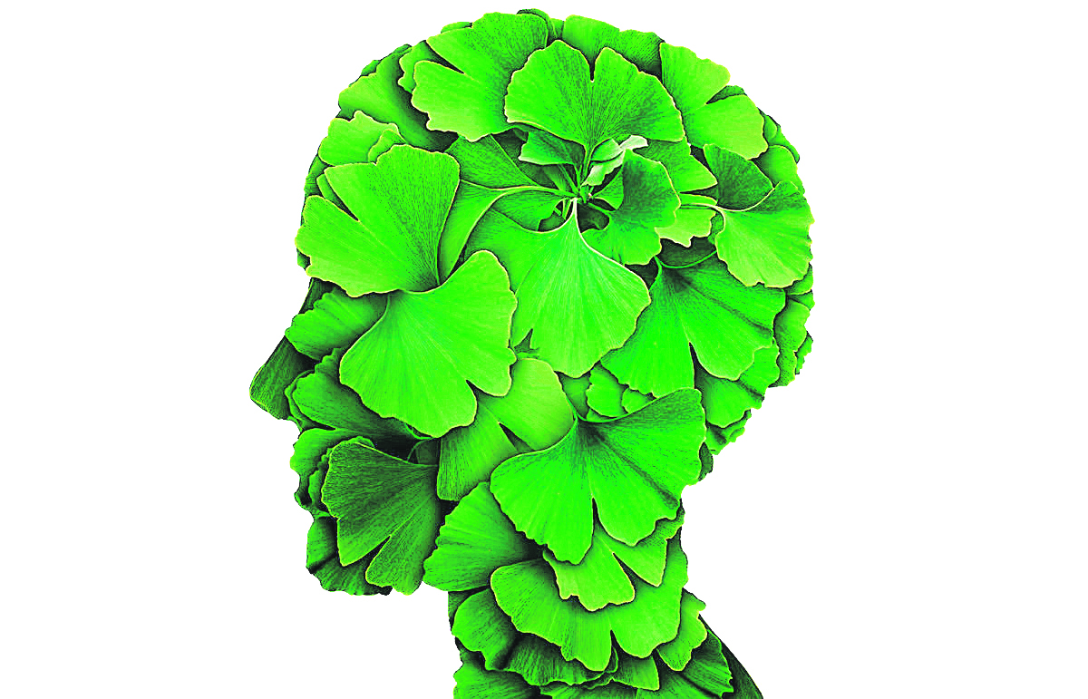 Divdaivu ginks – mūsu dzīves kvalitātei - nra.lv