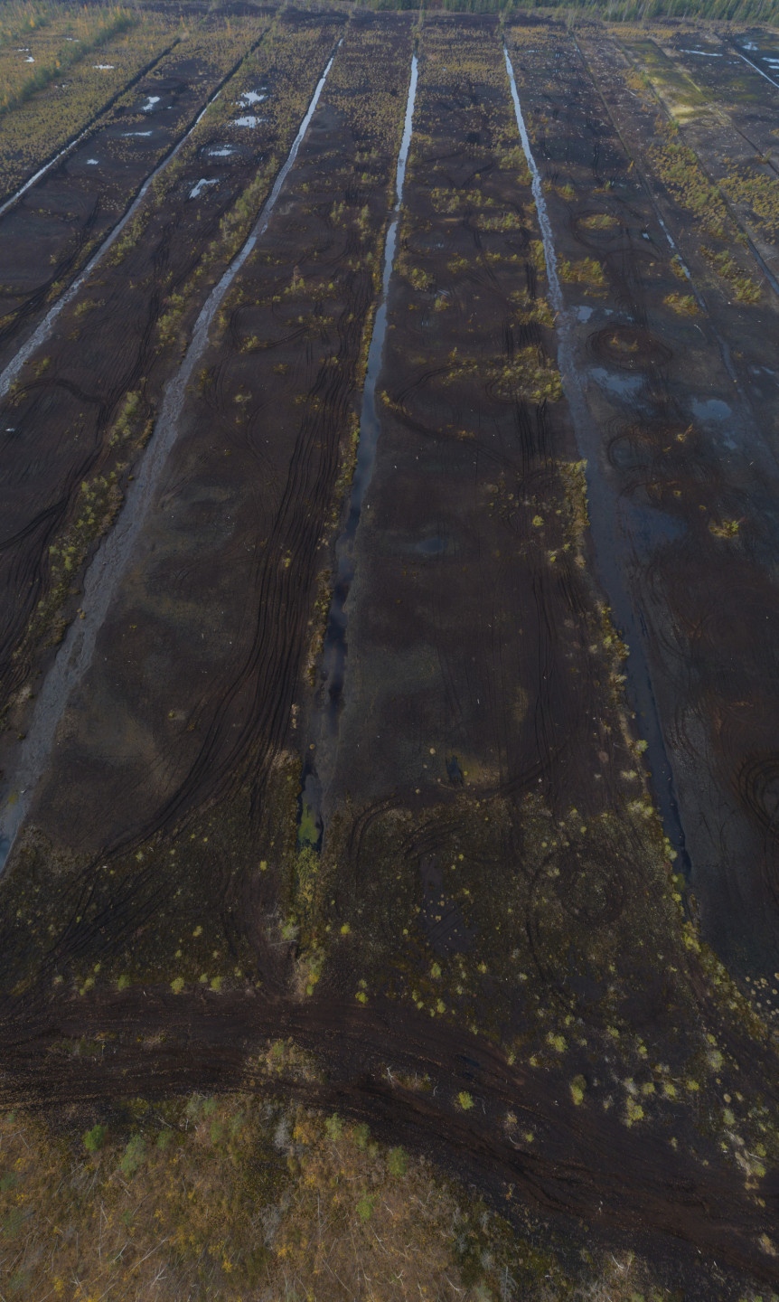 Iespaidīgi skati! Salaspils kūdras purvs no putna lidojuma - Foto - nra.lv