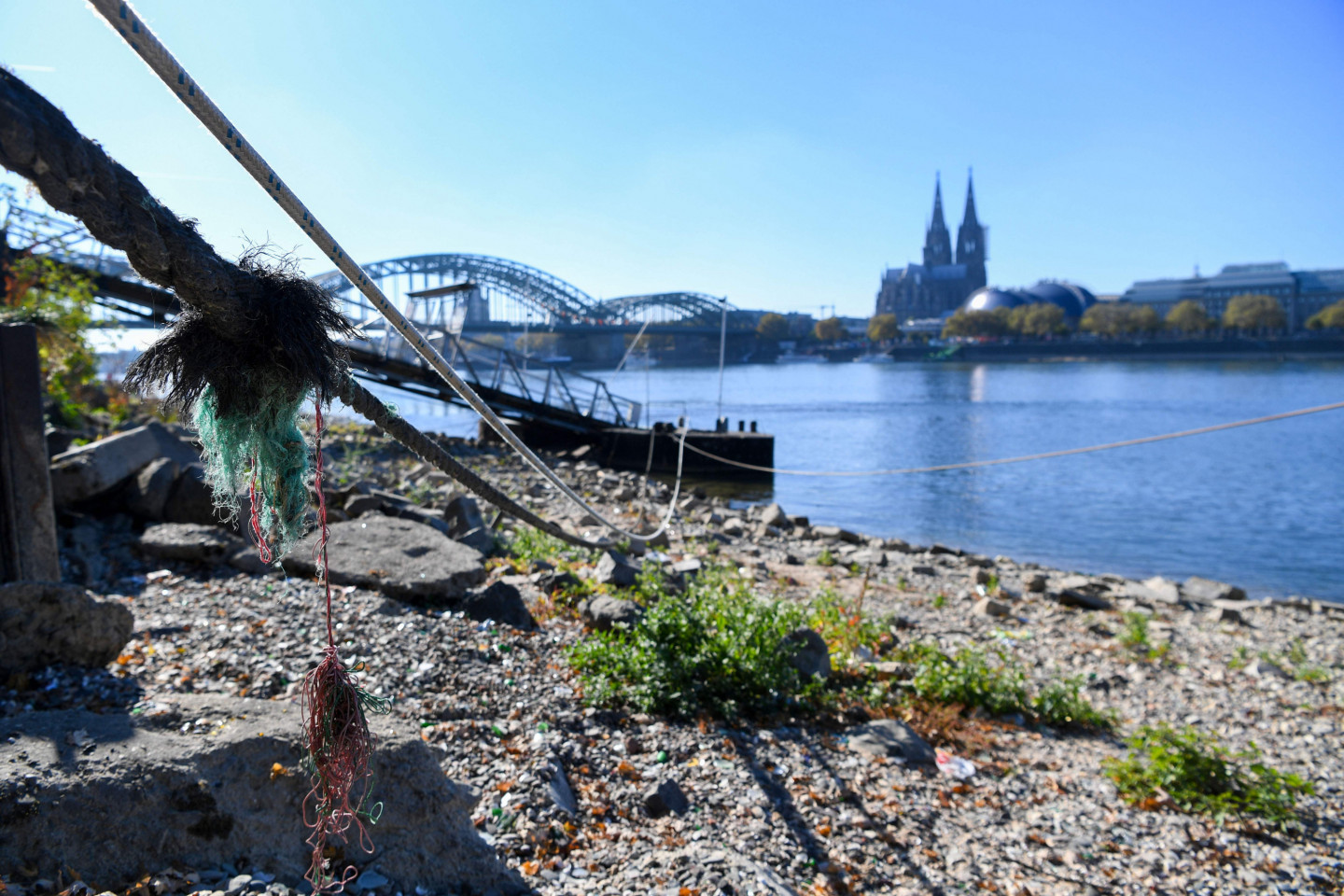 Reinas upe nespēj atgūties pēc sausās vasaras - nra.lv