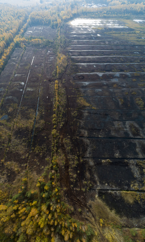 Iespaidīgi skati! Salaspils kūdras purvs no putna lidojuma - Foto - nra.lv