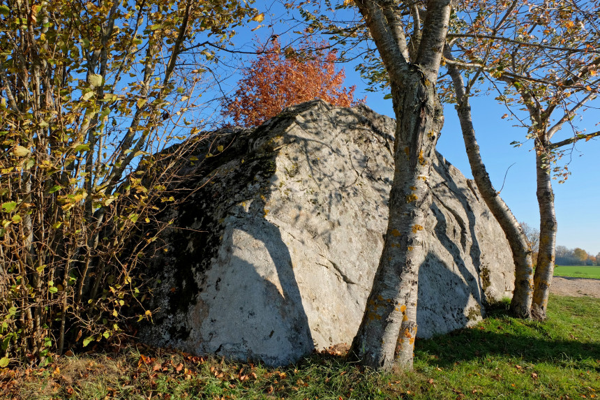 Paskat, kā izskatās lielākais dižakmens Kurzemē! - Foto - nra.lv