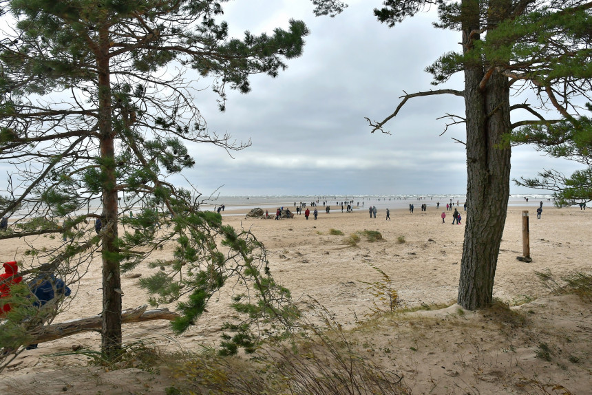 Pirmdiena būs silta, bet vējaina - nra.lv