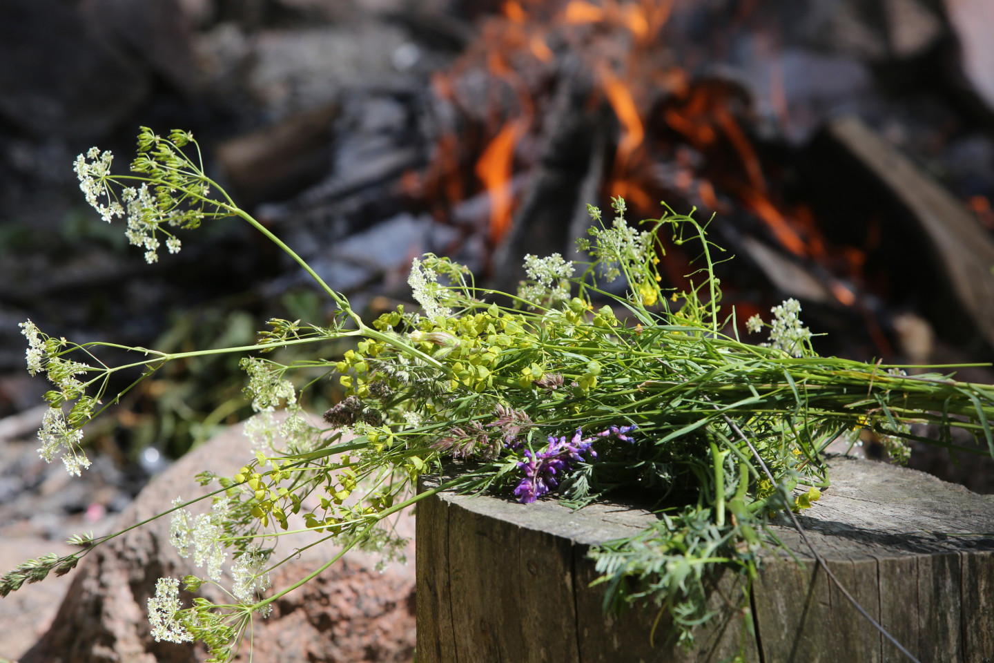 Lustīgu līgošanu! Šovakar visā Latvijā atzīmēs Līgo vakaru - nra.lv