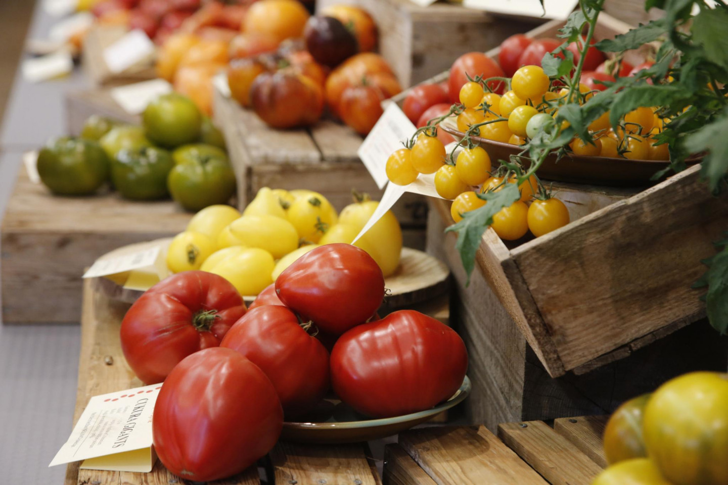 Pēc PVN likmes samazināšanas pieaudzis pieprasījums pēc vietējiem ...