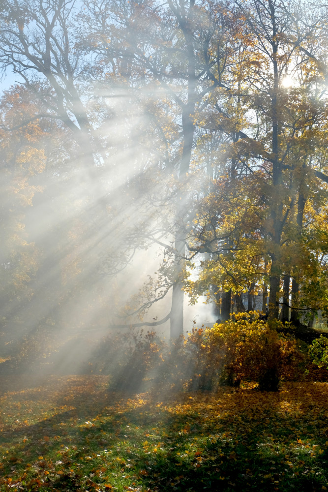 Otrdiena būs vējaina un visai saulaina - nra.lv