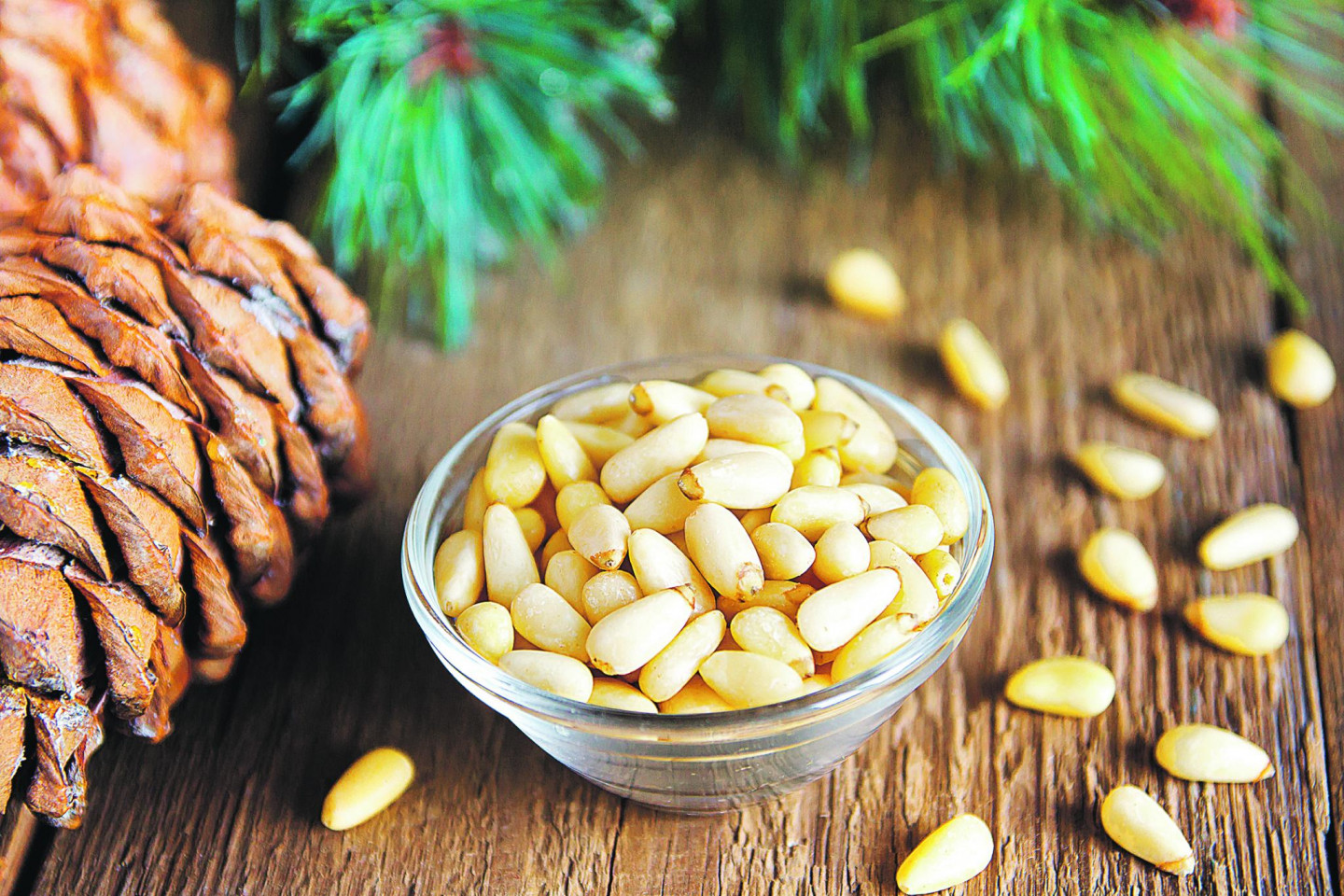 RECEPTES. Sauja ciedru riekstiņu - nra.lv