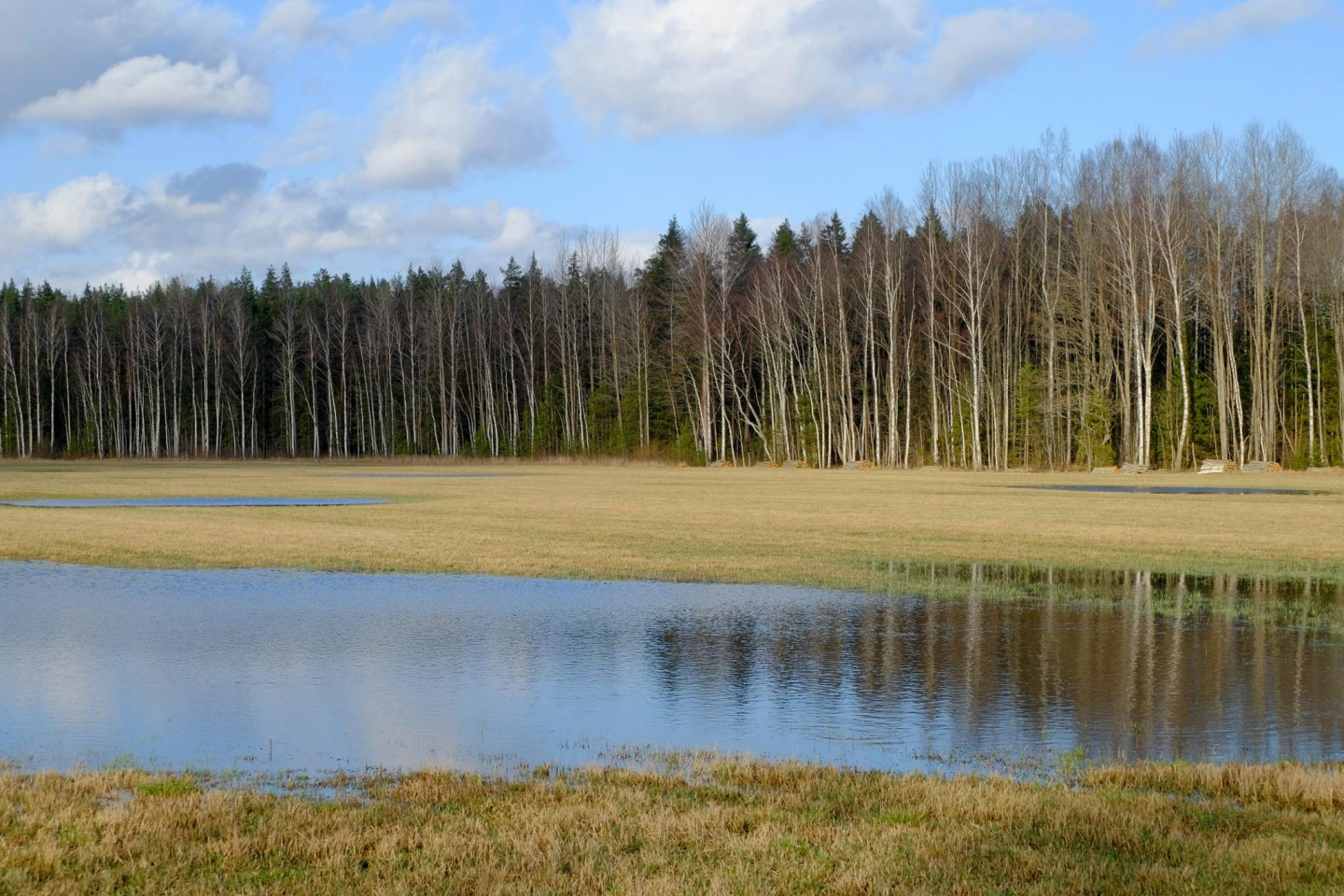 Jelgavā applūdis vēl viens ceļa posms - nra.lv