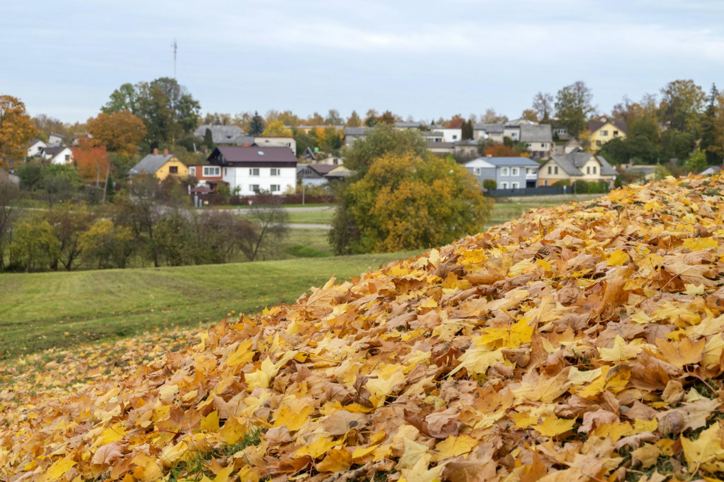 Latvijā iestājies astronomiskais rudens - nra.lv