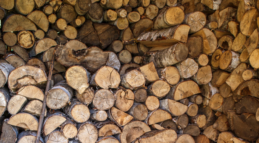 Iecavā par 4 maisu ar malku zādzību 12 eiro vērtībā sākts ...