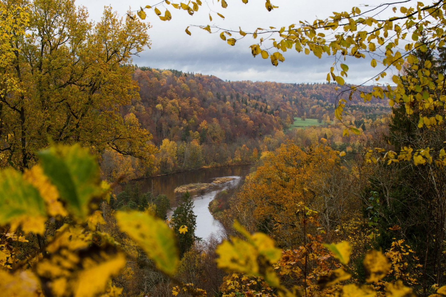 Šodien gaidāma saulaina rudens diena - nra.lv