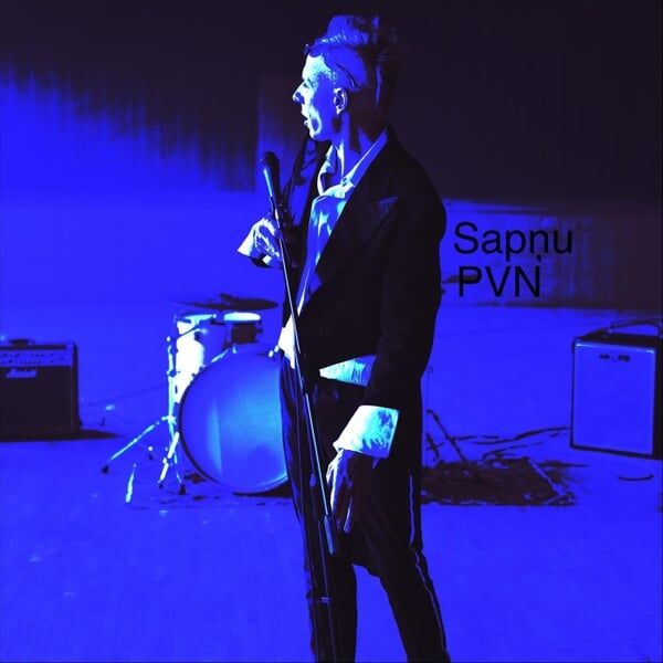 RECENZIJA: Matīss Pavītols “Sapņu PVN” - nra.lv