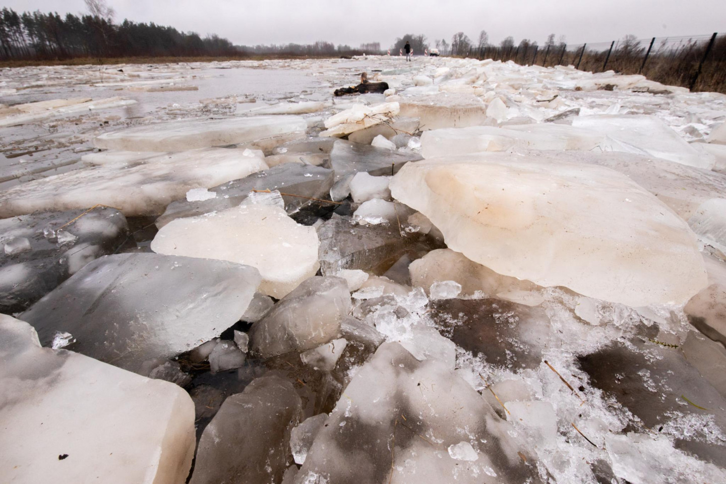 Ledus sablīvējumam pavirzoties uz jūru, Ādažu novadā krities ūdens ...