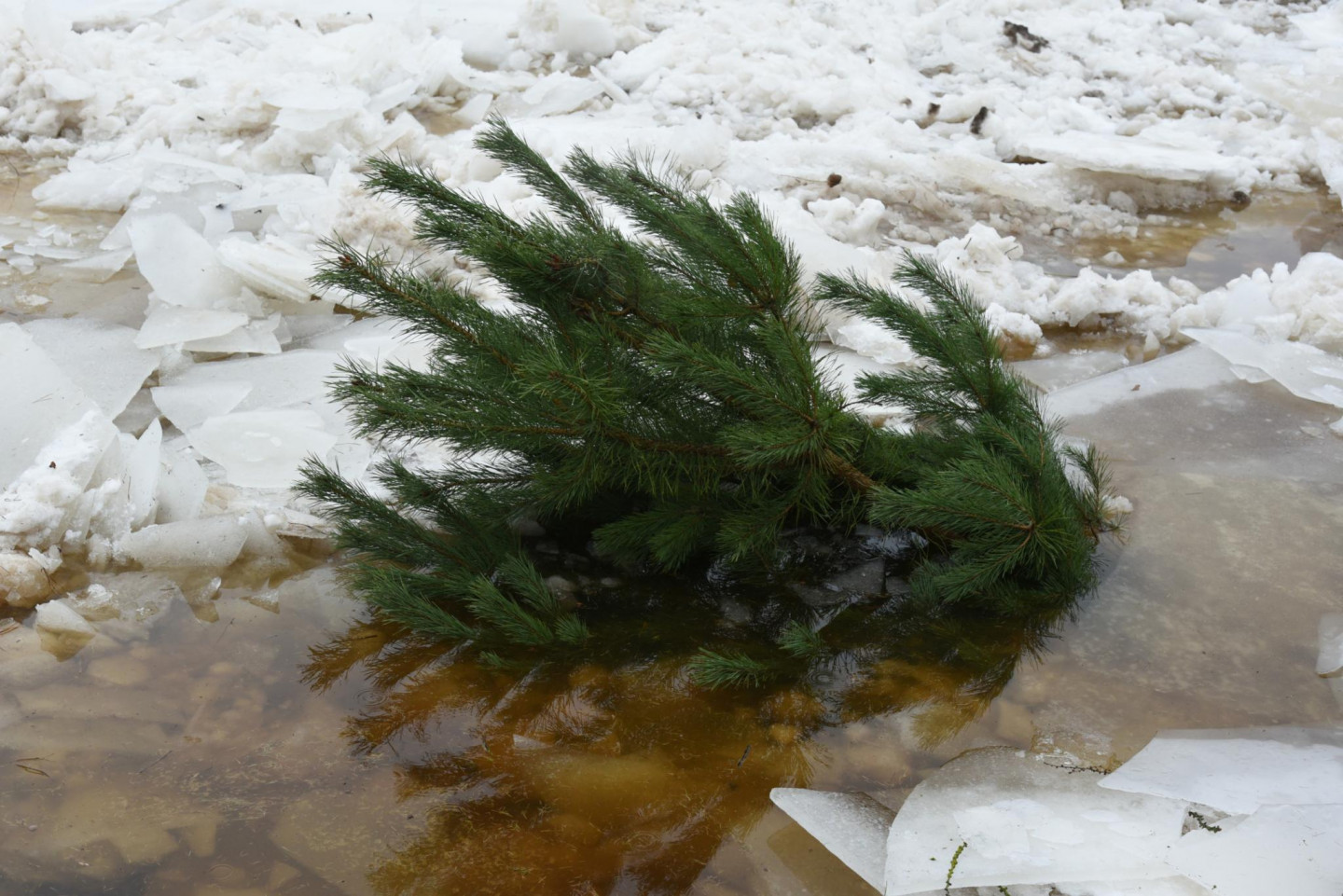 Upēs turpina paaugstināties ūdens līmenis - nra.lv