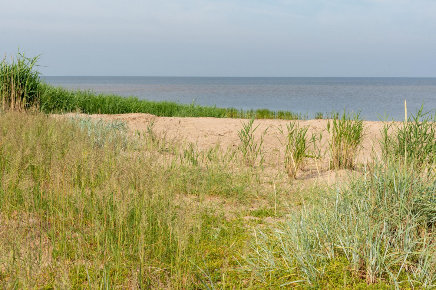 VUGD ziņo par ļoti traģisku dienu pludmalēs - nra.lv