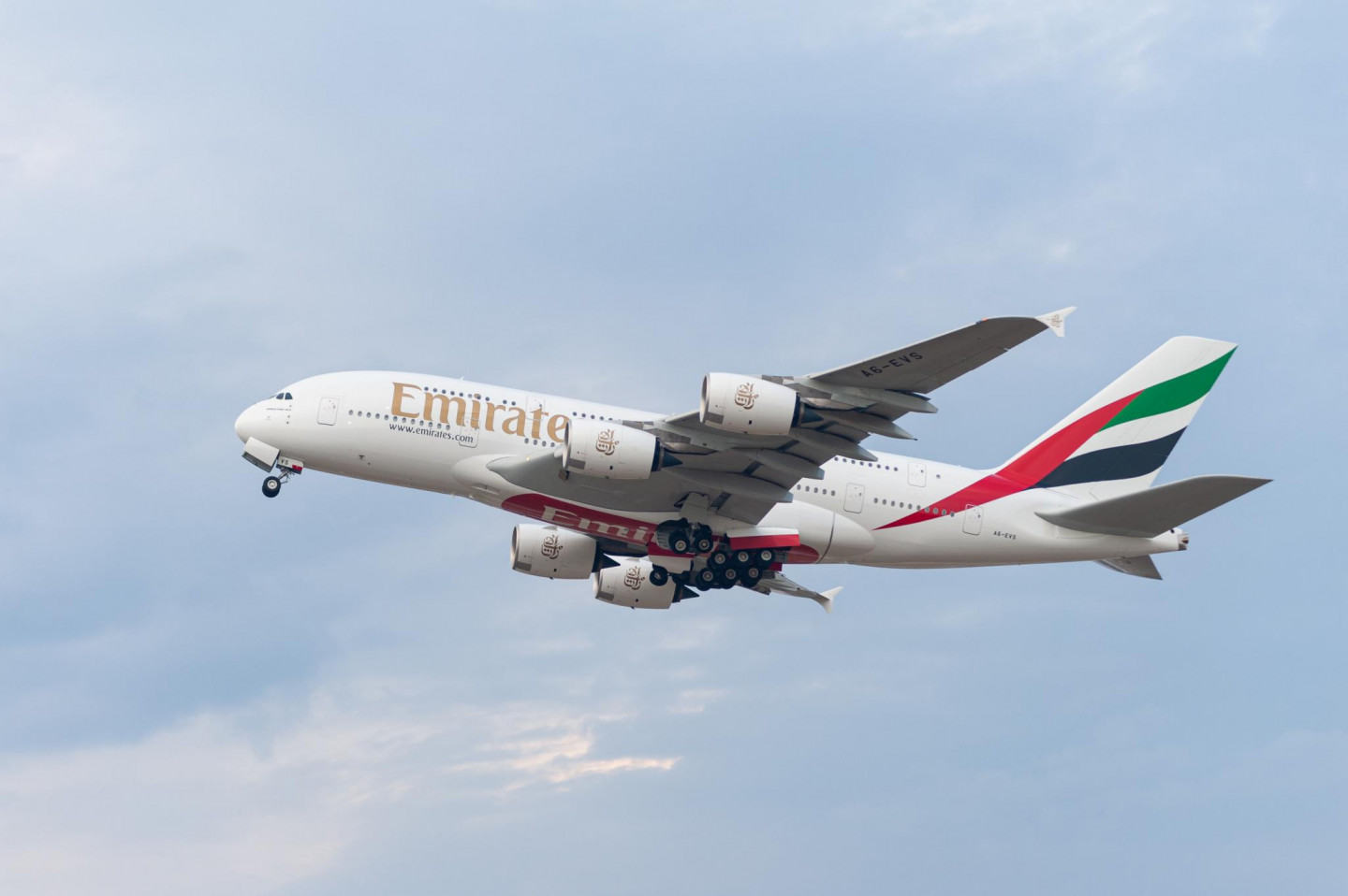 Dubaijas lidostā no lidmašīnas kravas telpas izbēg lācis - nra.lv