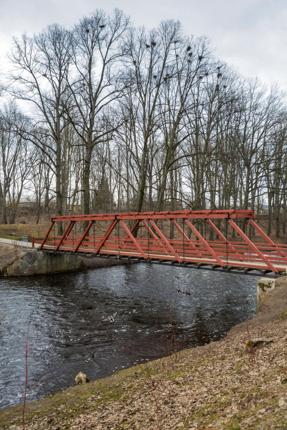 Iecavas spirta rūpnīca upē novadījusi 20 000 kubikmetrus neattīrīta ...