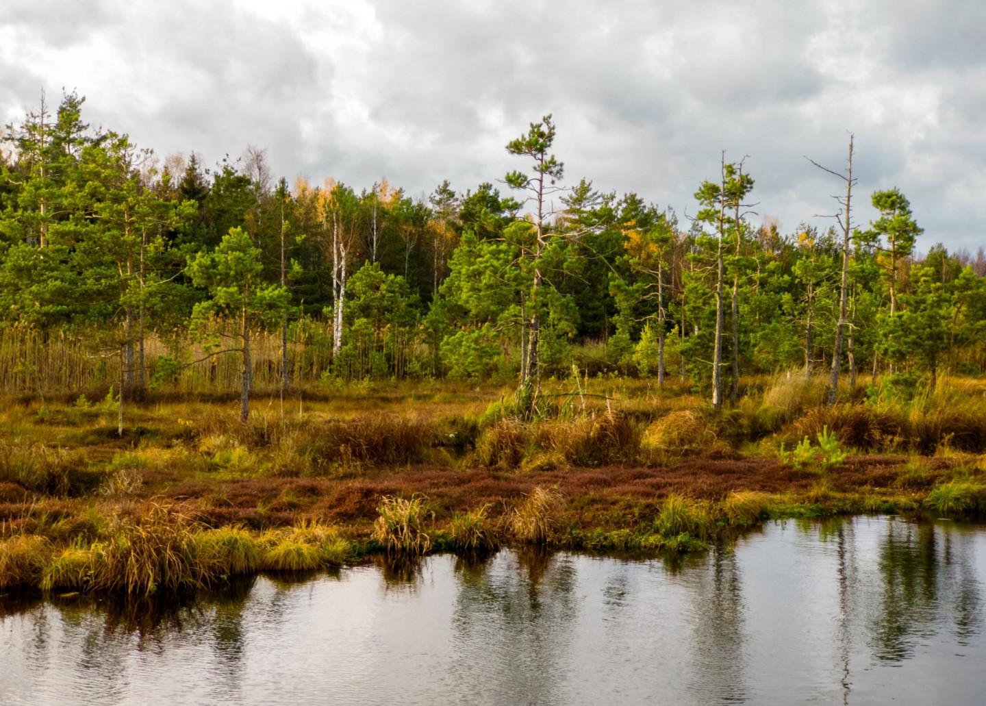 Pēc sešām dienām sāksies astronomiskais rudens - nra.lv