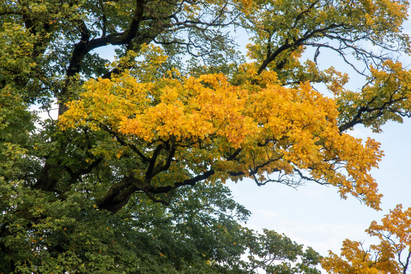 Laika prognozes svētdienai neiepriecina - nra.lv