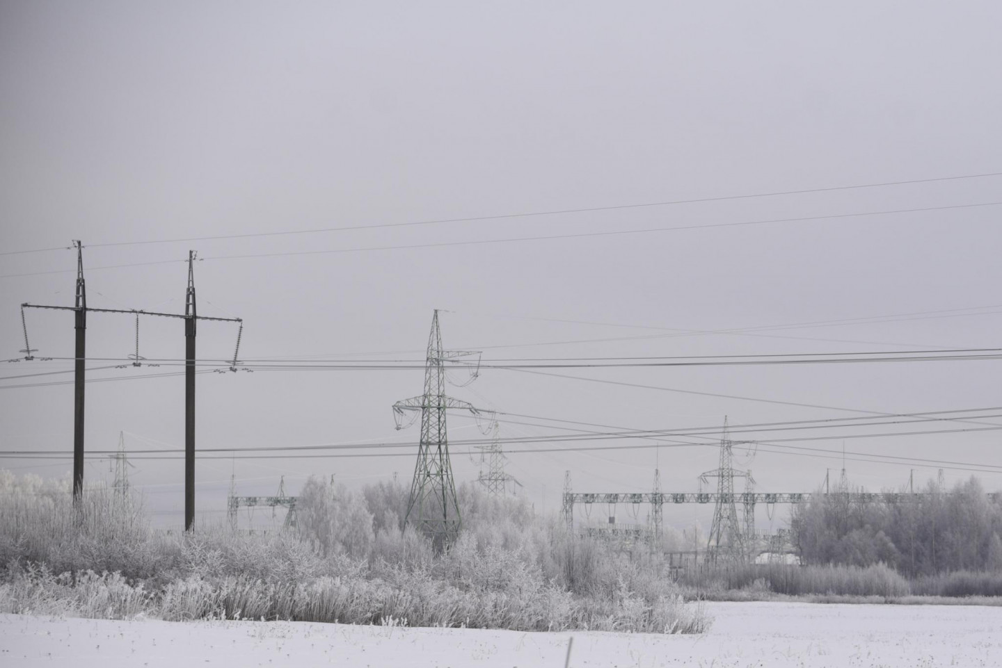 "Sadales tīkls" novērsis ap 300 sniega vētras radītos elektrotīkla ...
