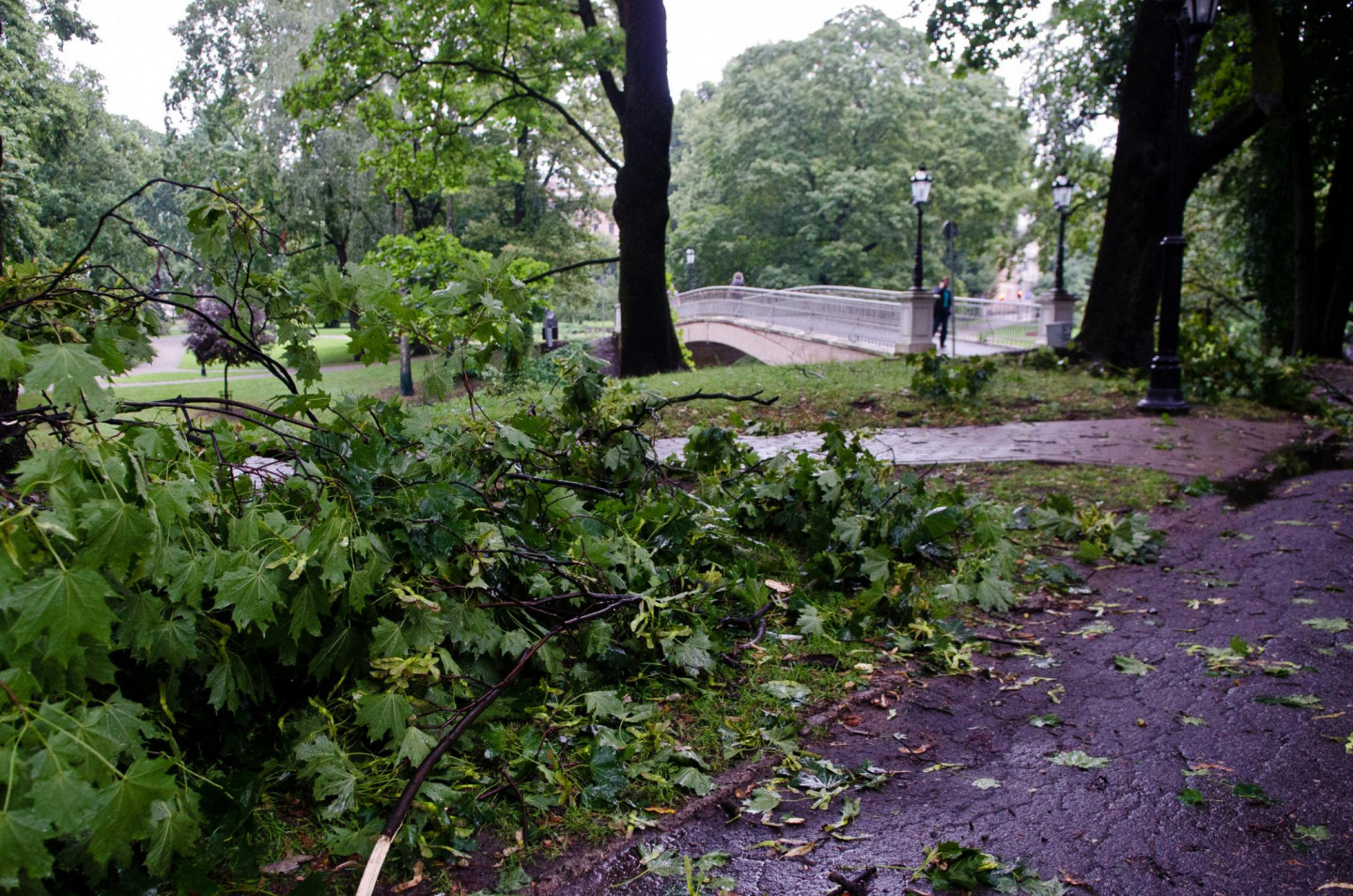Jānis Trallis prognozē vēl bīstamākus laika apstākļus - nra.lv