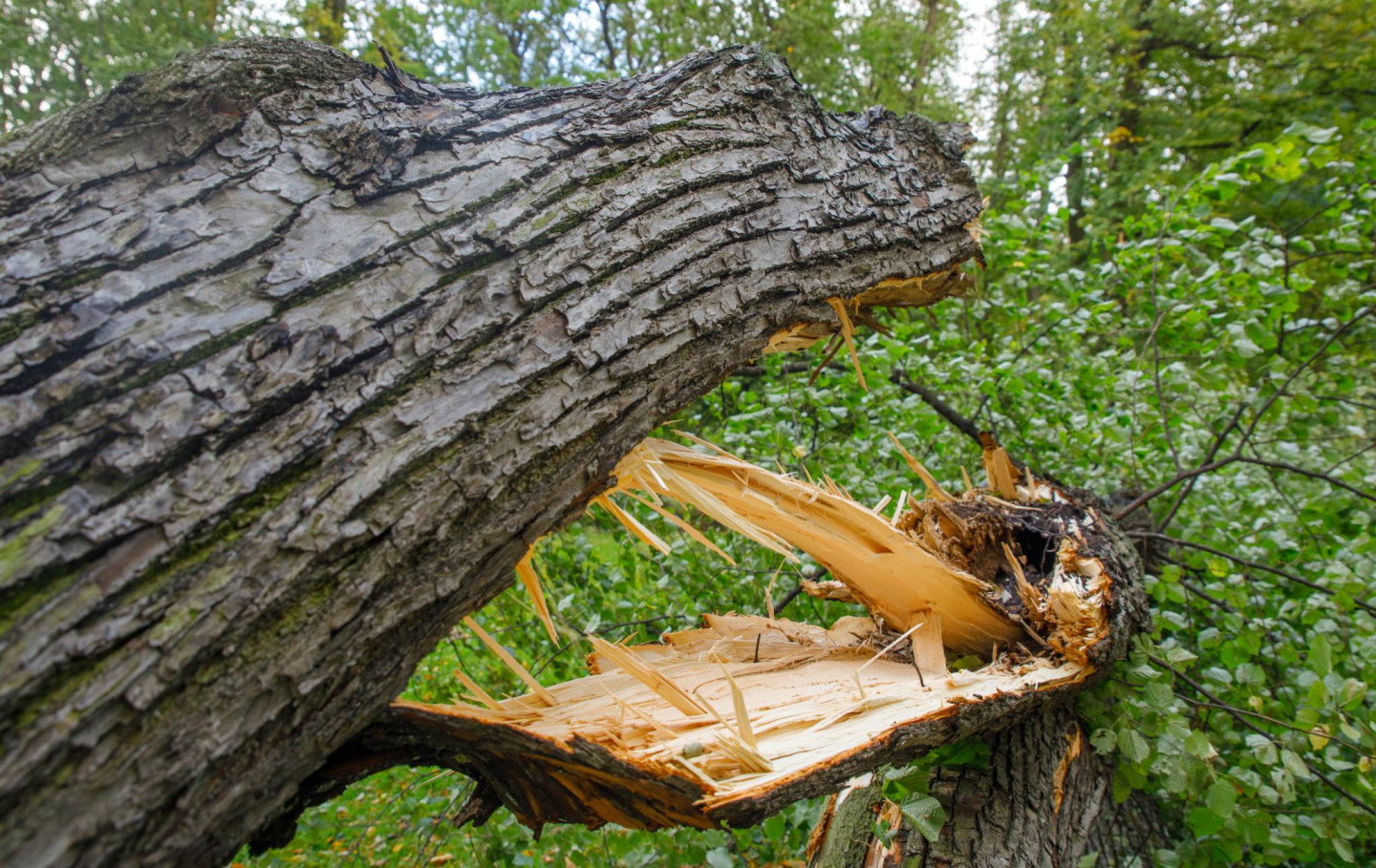 FOTO. Boforta skala jeb kā realitātē izpaužas vēja ātrums 33 metri ...