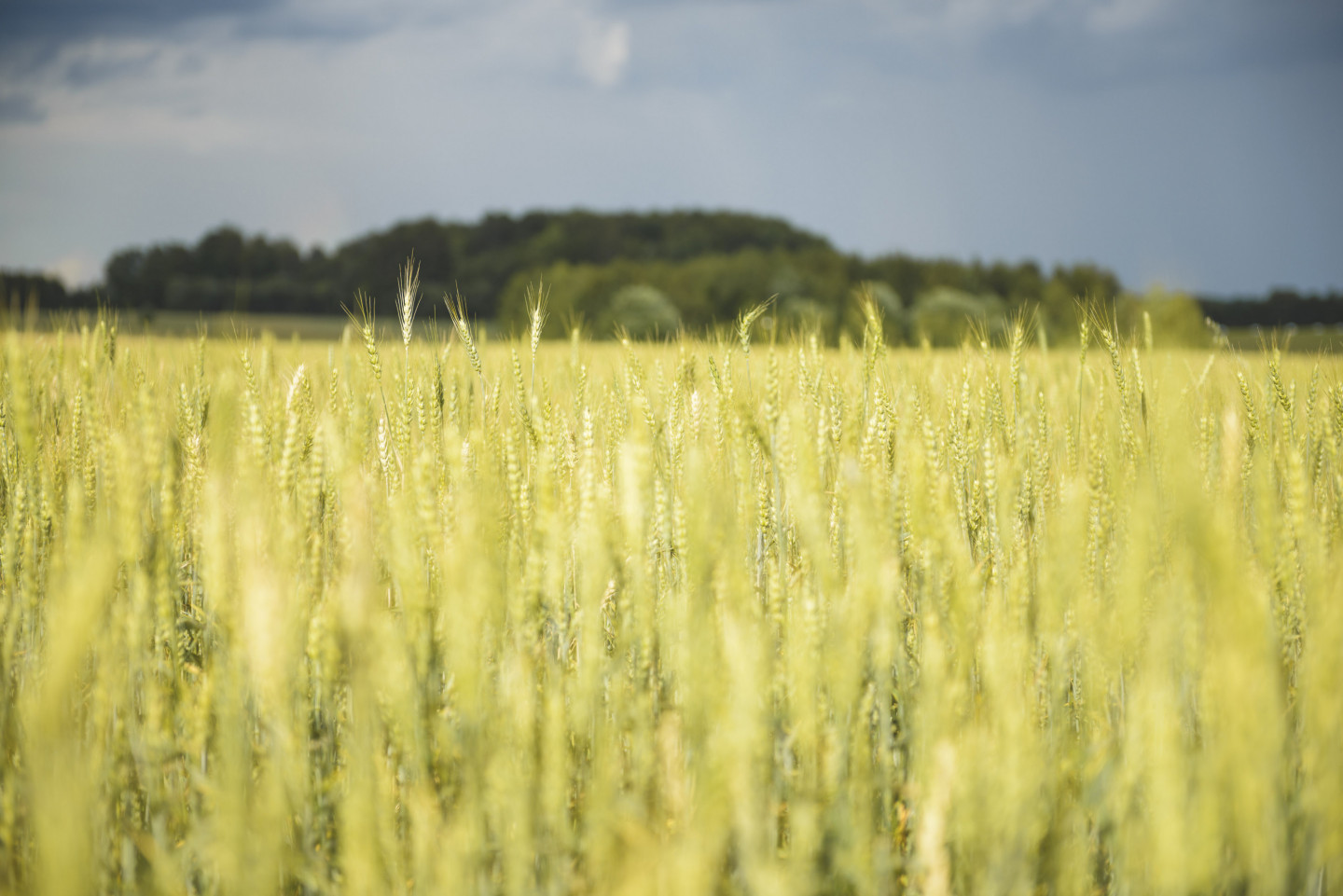 LLKC: Vētras situācija ir smaga - nra.lv
