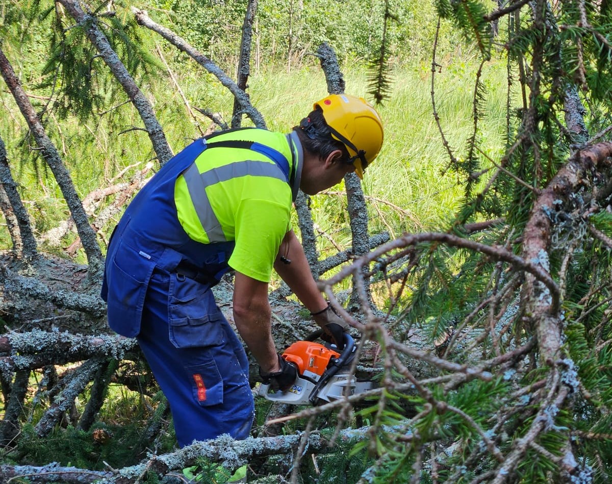 "Sadales tīkls" turpina cīnīties ar vētras radītajiem postījumiem ...