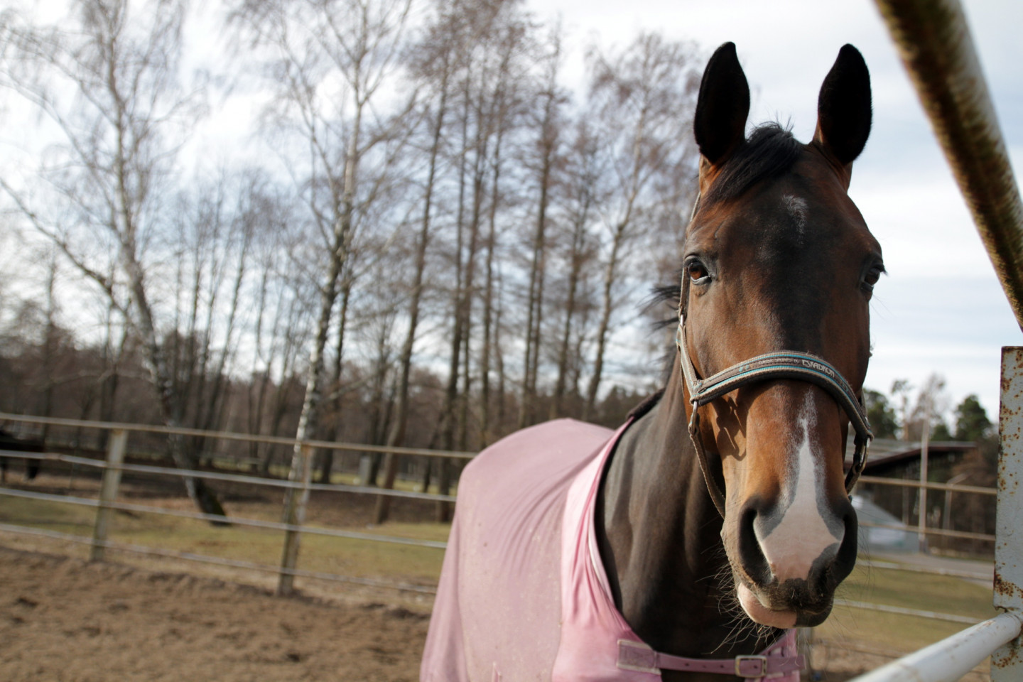 "Kleistu" strīdam nonākot tiesvedībā, valstij var būt sarežģīti gūt ...