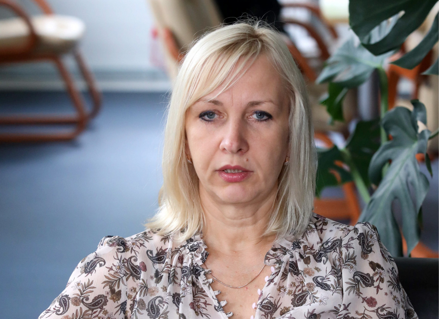 Kādēļ svarīgi veidot pieejamu mežu? - nra.lv