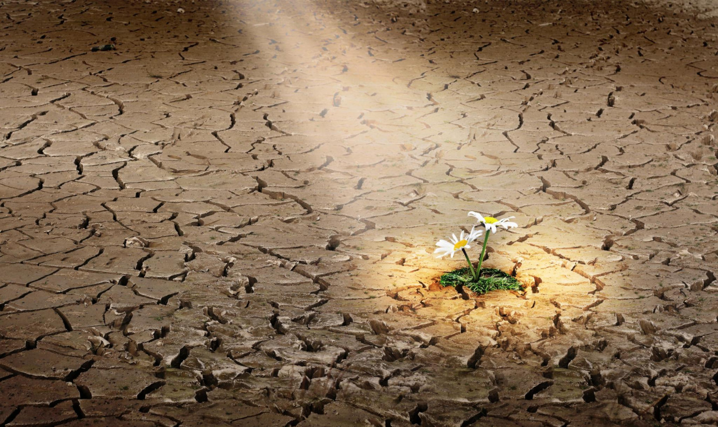 Kā klājas Gabrielam Mutoram? Viņa tētis ir cerību pilns - nra.lv