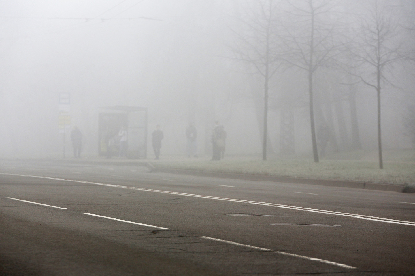 Latvijā izveidojusies migla - nra.lv