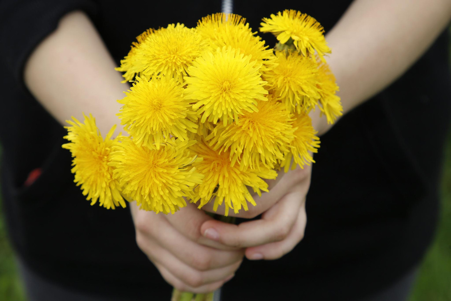 Sliktas ziņas tīkotājiem pēc silta laika - nra.lv