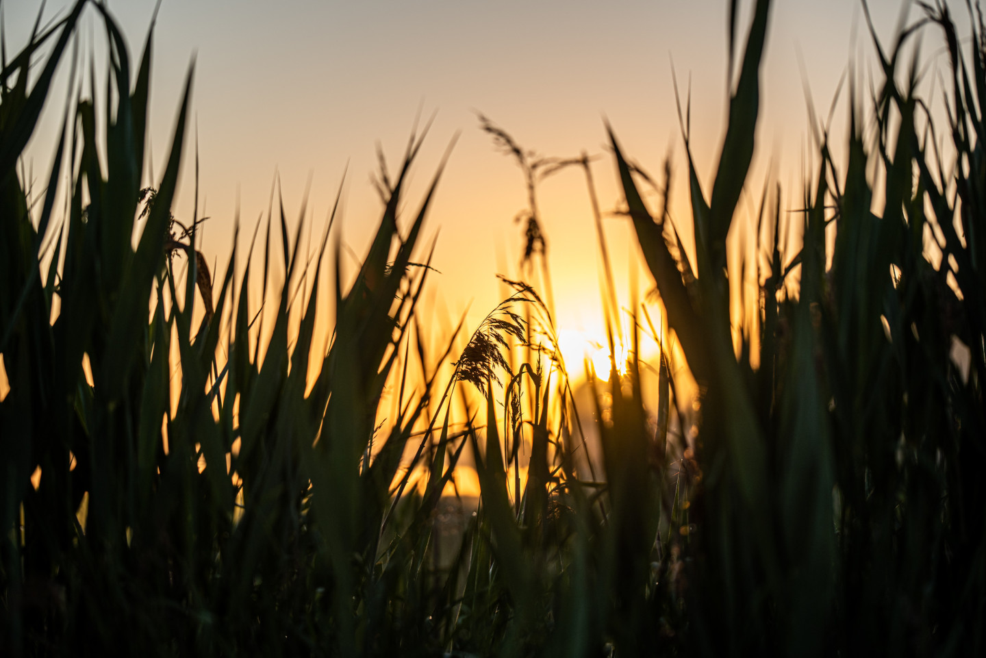 Debesis virs Latvijas pārsvarā skaidras - nra.lv