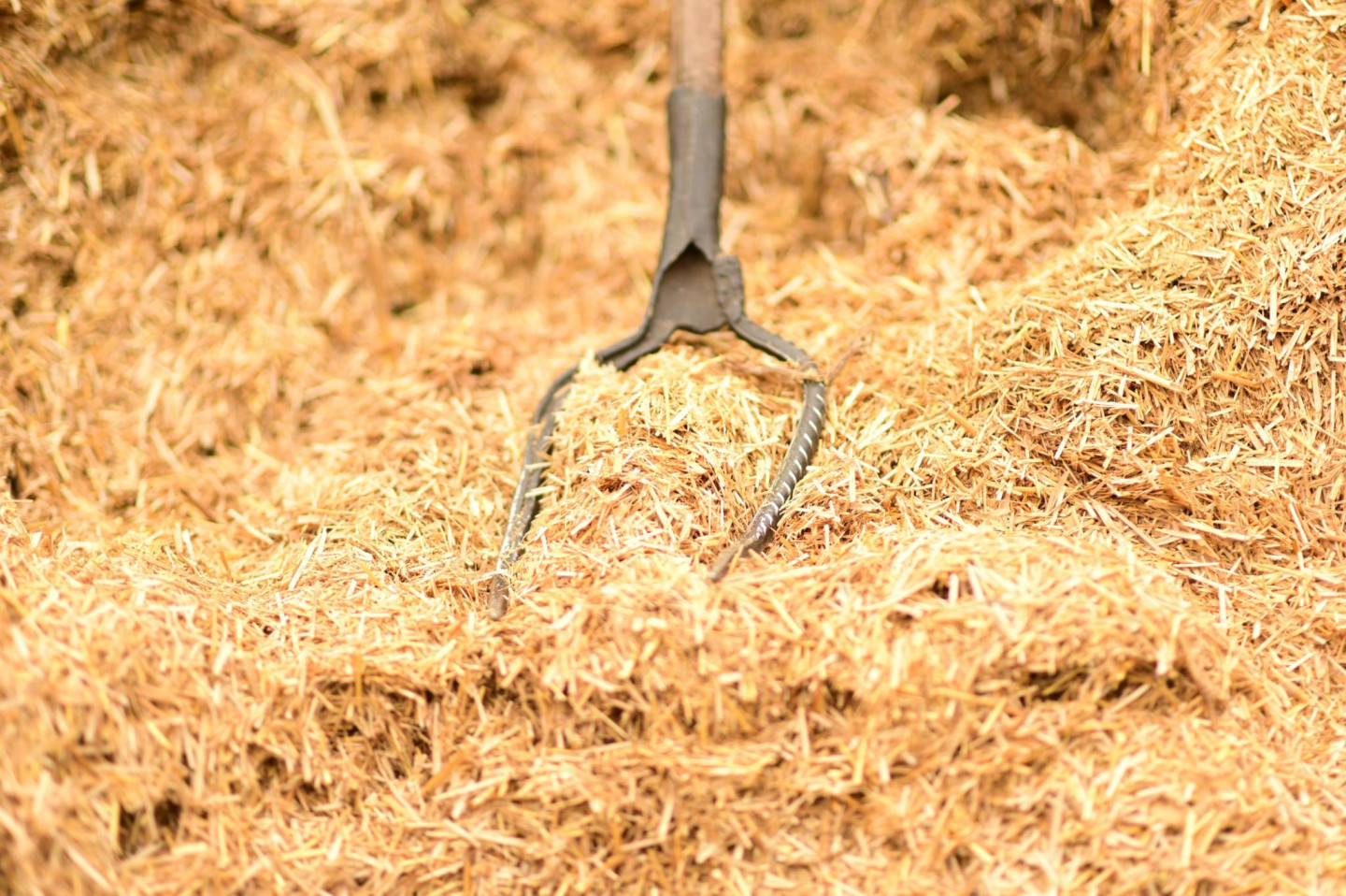 Šokējošs stāsts: Putina tēvs izdūra mātei aci - nra.lv