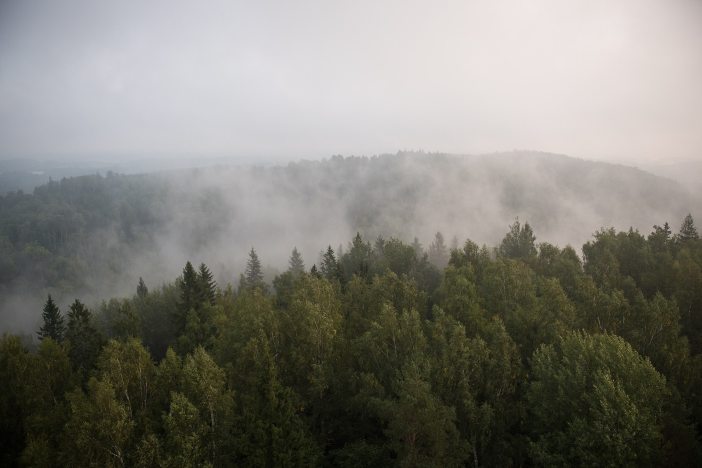 Latgali pārņem bažas: Pretmobilitātes likuma bīdītāji iet uz priekšu ...
