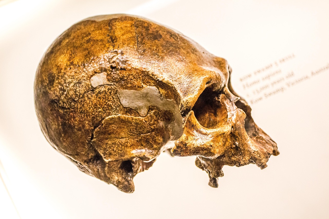 Jauns atklājums par neandertāliešiem pārsteidz zinātniekus - nra.lv